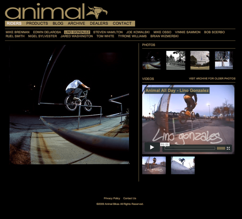 Animal Bikes | Dataharvest Inc.